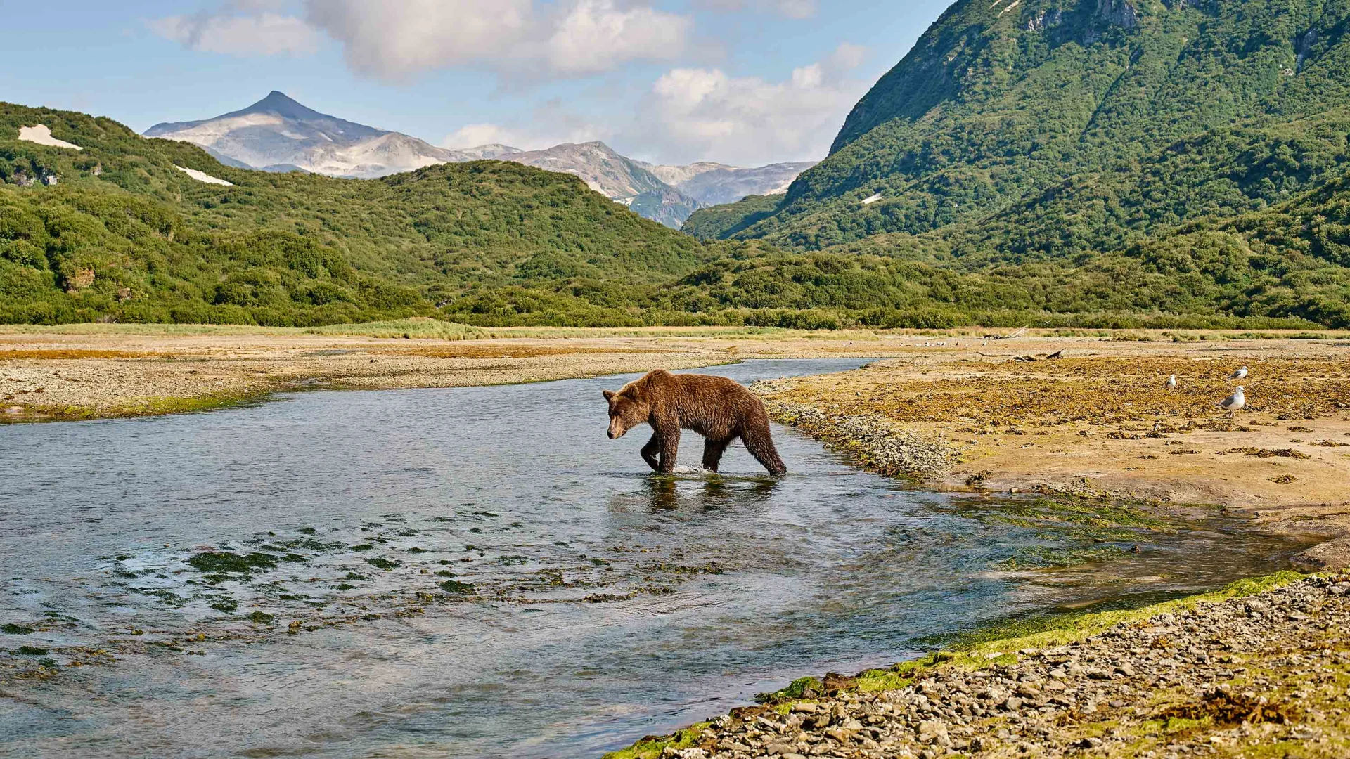 Alaska Expedition: HX Kreuzfahrten erleben - Emocean Cruises Luxus ...