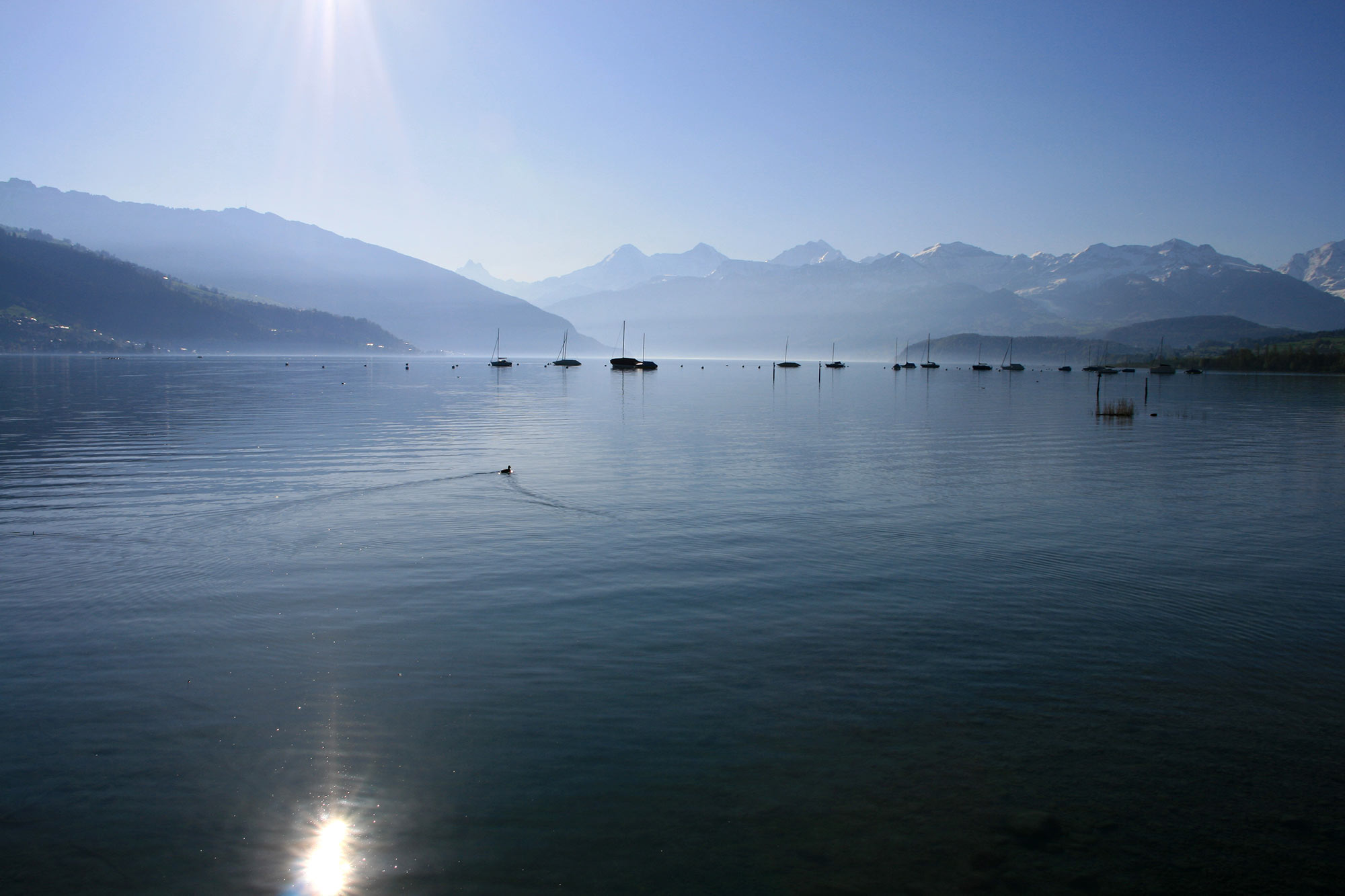 Therapieangebot - Shiatsu-Praxis - Barbara Junker - Uttigen