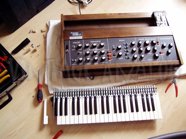 Minimoog "Model D" - The Study Room Studio Home