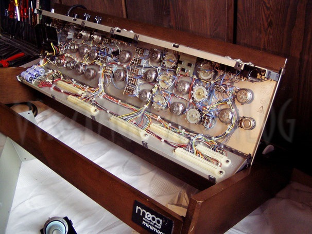 Minimoog "Model D" - The Study Room Studio Home