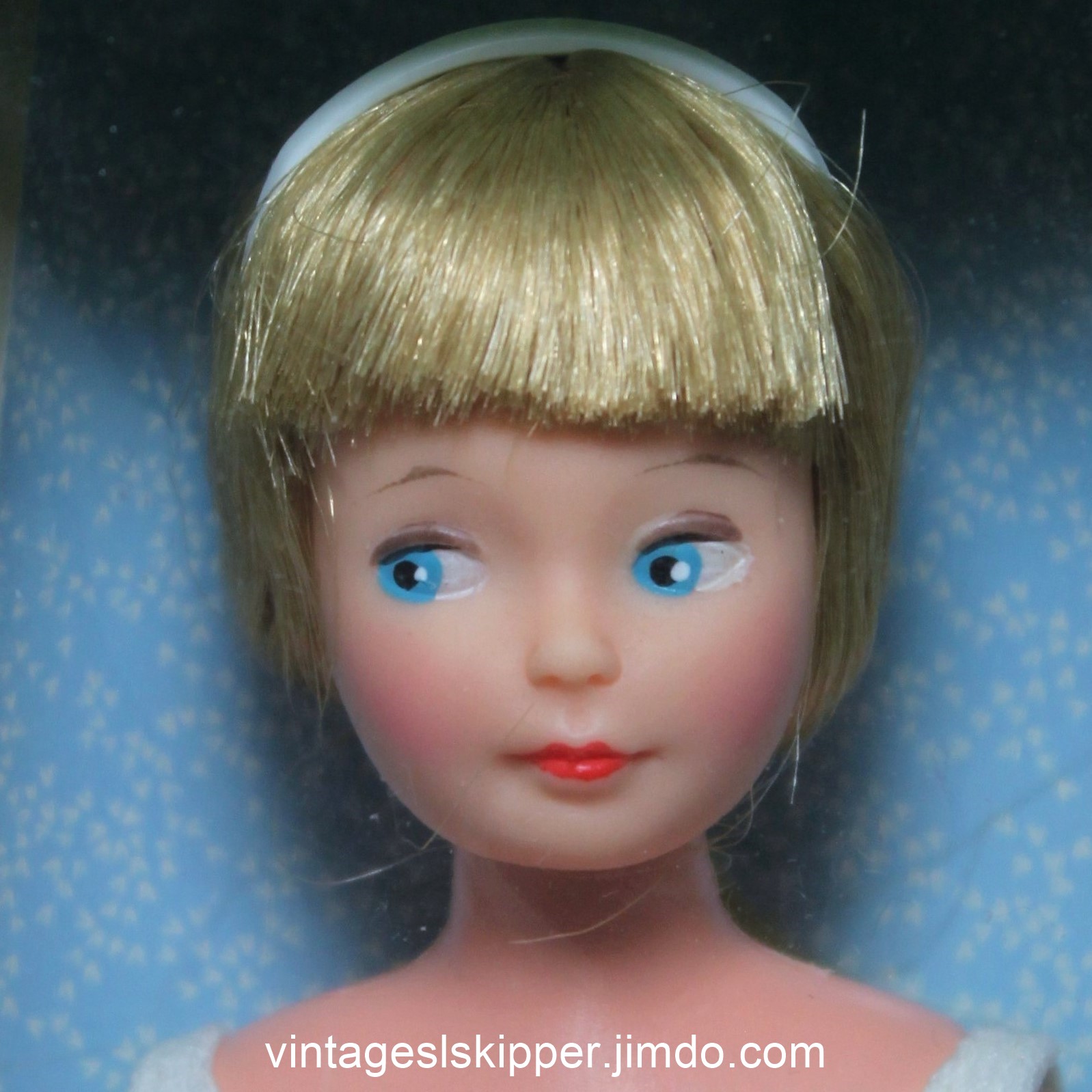 Cricket - Skipper Doll - Barbie's Little Sister