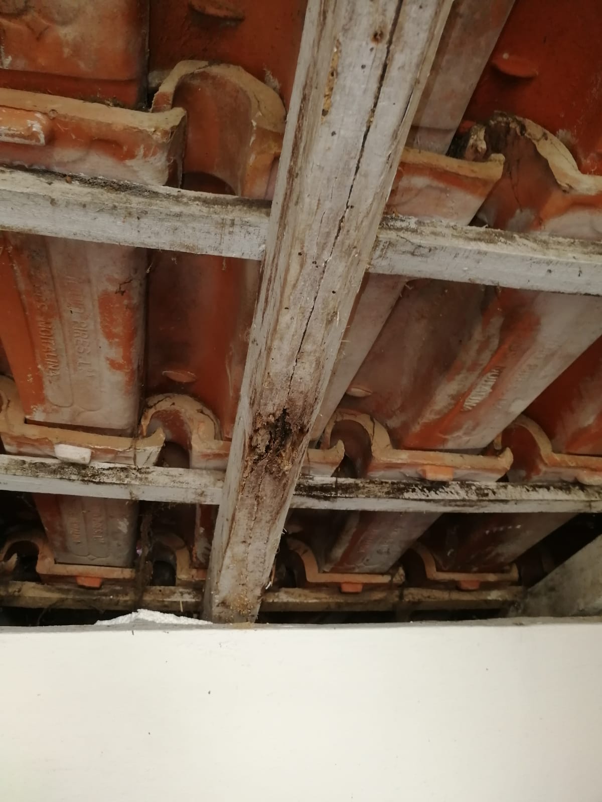 Home - Crowd Helpers