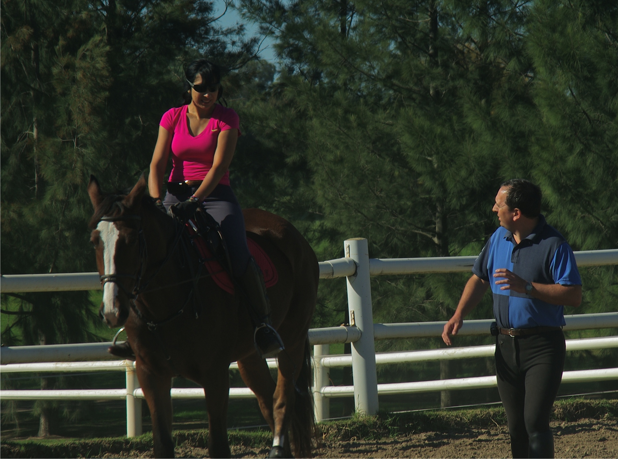 PICTURES - Página web de equestrian-coach
