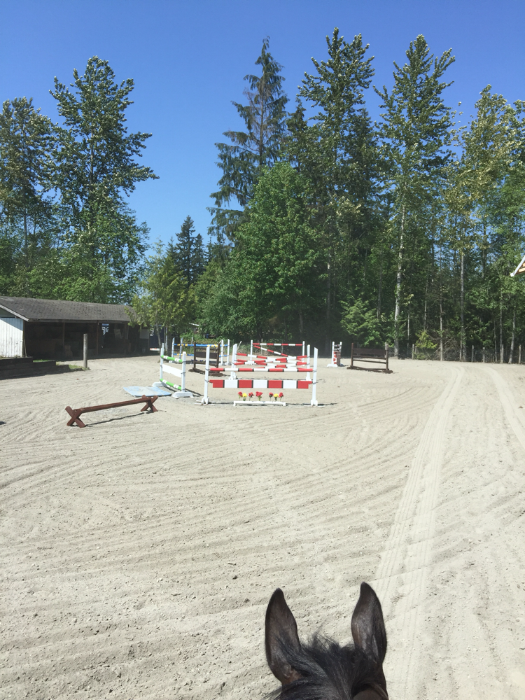 Our Facilities - sl-equestrian