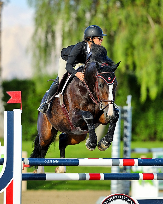 2021 Calendar - sl-equestrian