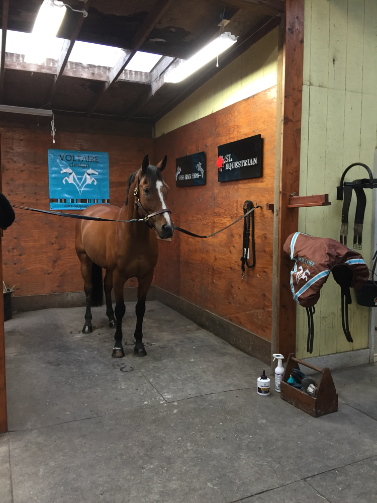 Our Facilities - sl-equestrian