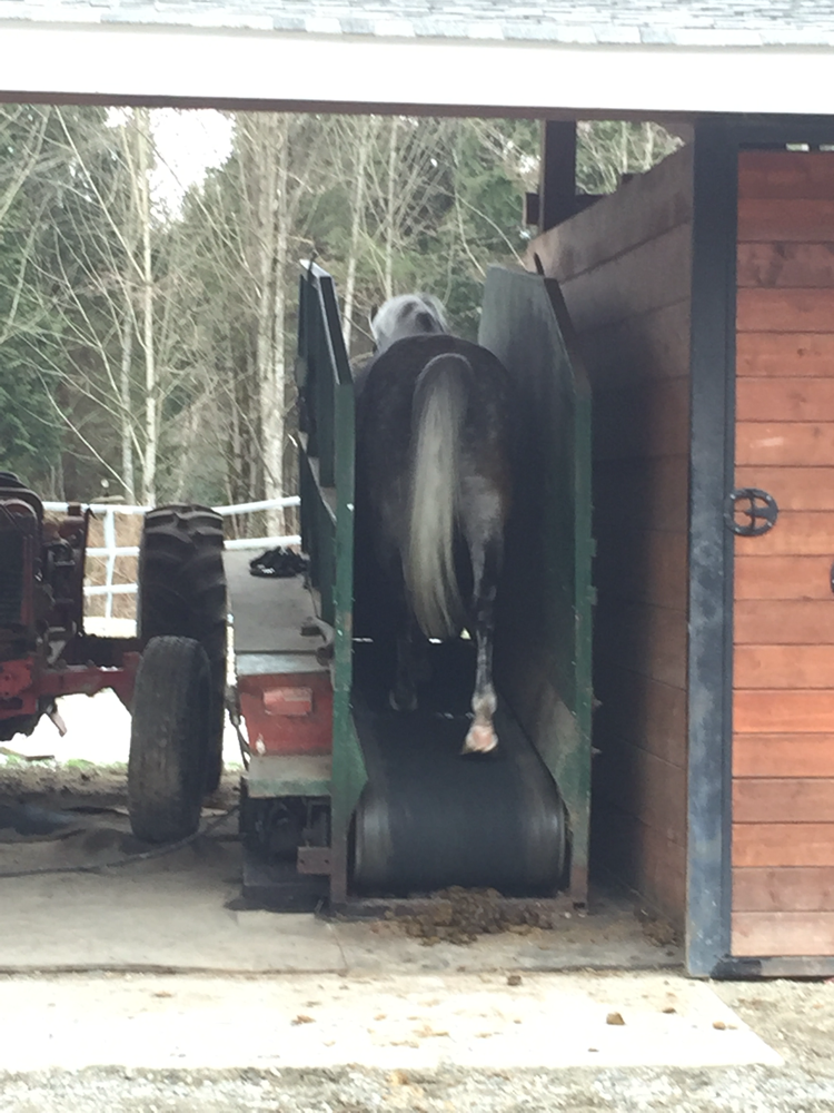 Our Facilities - sl-equestrian