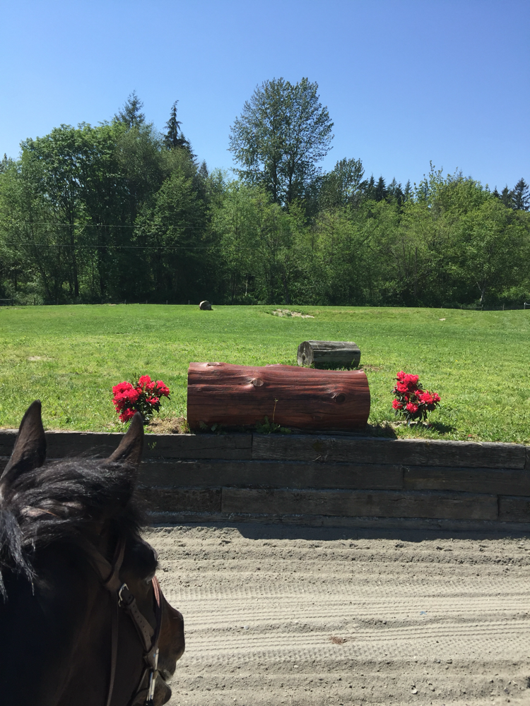 Our Facilities - sl-equestrian