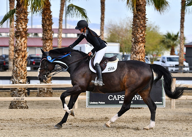 2021 Calendar - sl-equestrian