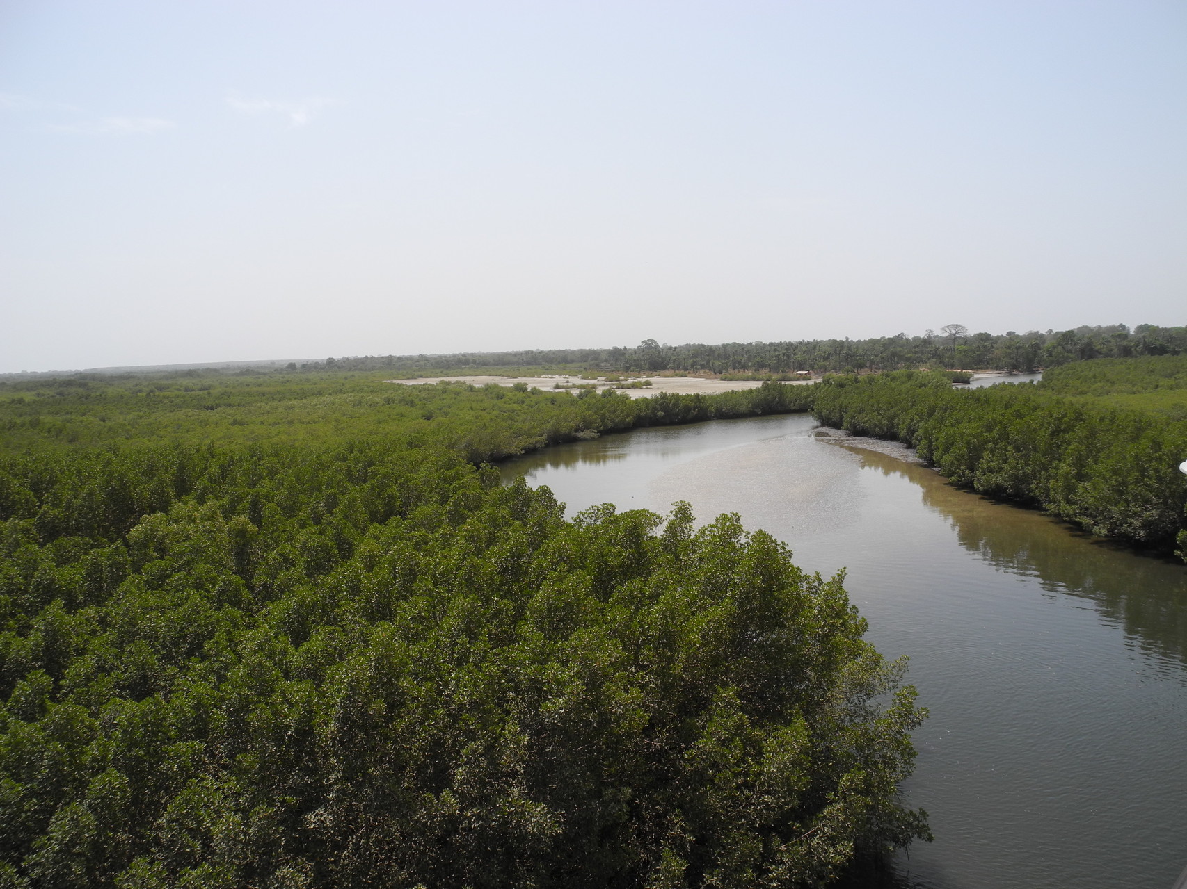 Makasutu culture forest - Jimmy - Kotu beach, The Gambia