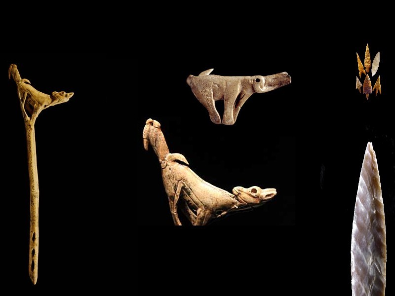 FABRICATION D'UNE SAGAIE PAR KROM - animations, ateliers préhistoriques