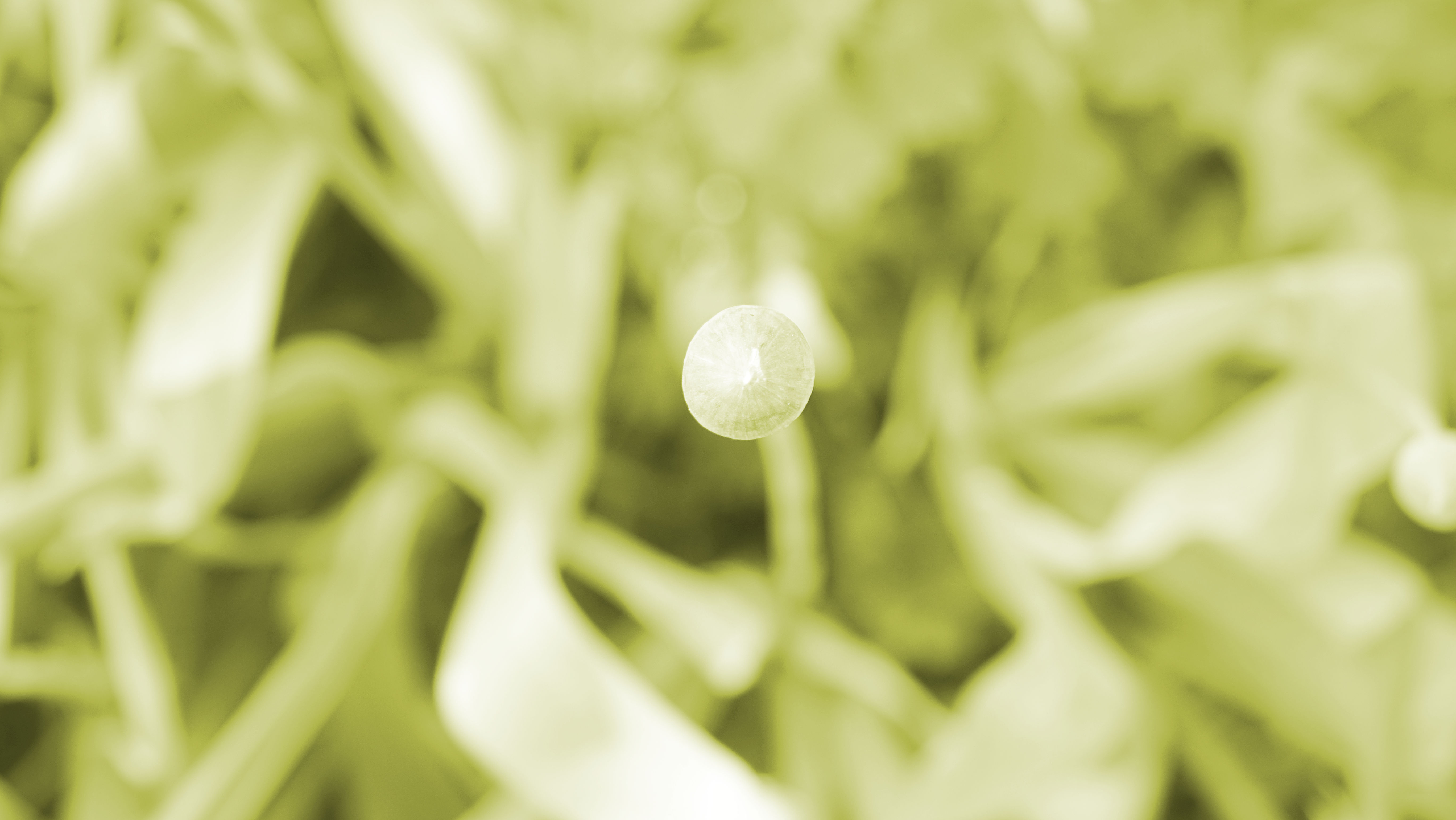 Die Geschichte von Mini-München von 1979 bis heute - kinderstaedtes ...