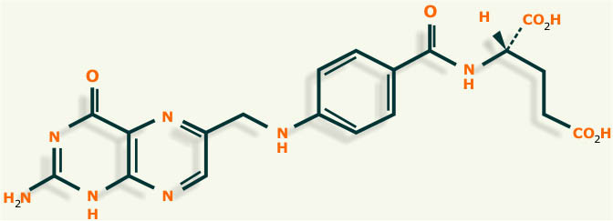 Ácido fólico. Funciones y fuentes - Farmacognosia. Plantas medicinales