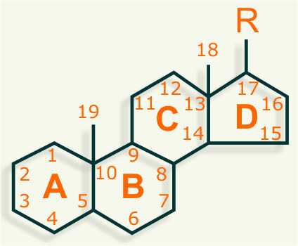 Esteroles - Farmacognosia. Plantas medicinales