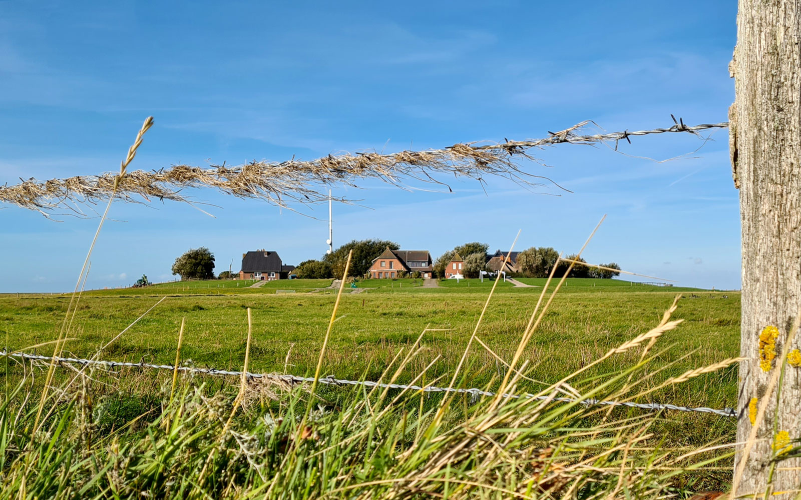 Hand gegen Koje auf der Hallig - Fischerhaus Hooge