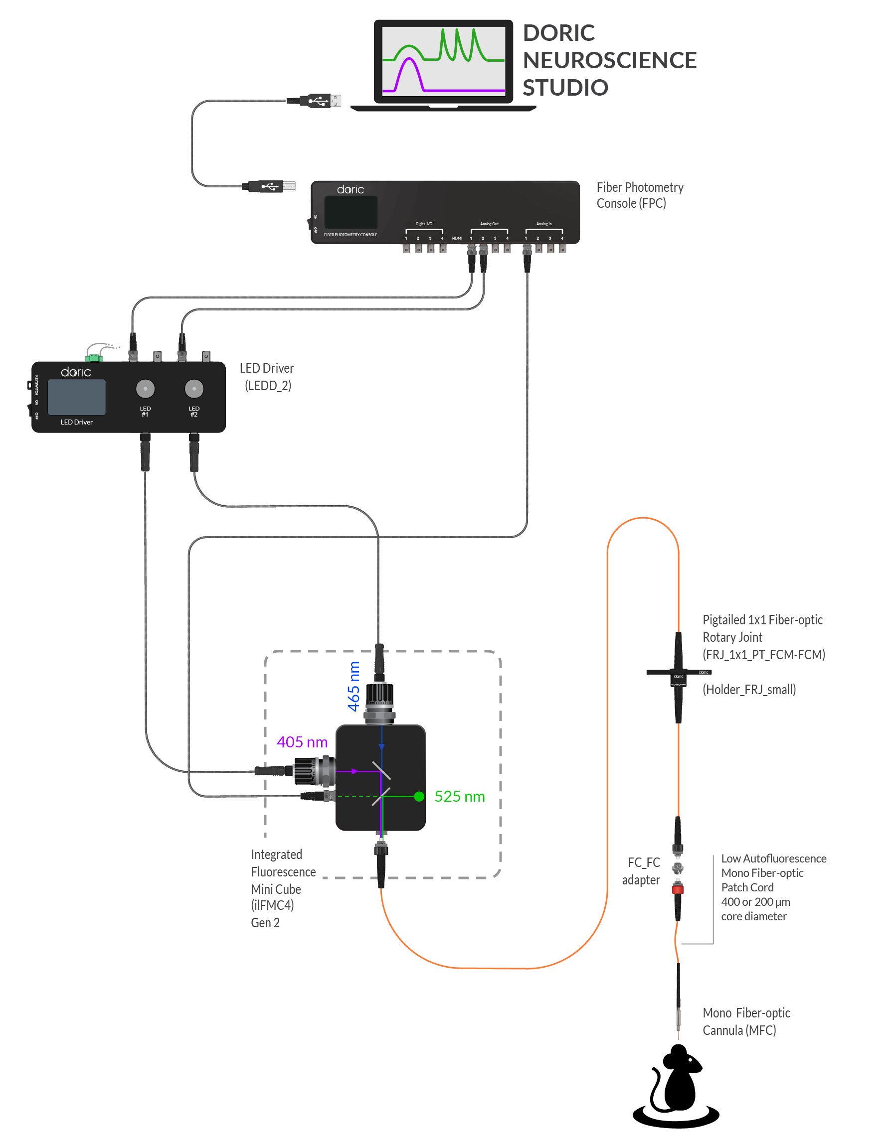 Doric社製 ファイバーフォトメトリーシステム｜1か所計測 GCaMP等吸収点 ＋ GCaMP蛍光励起 - ｜optogenetics.jp ...