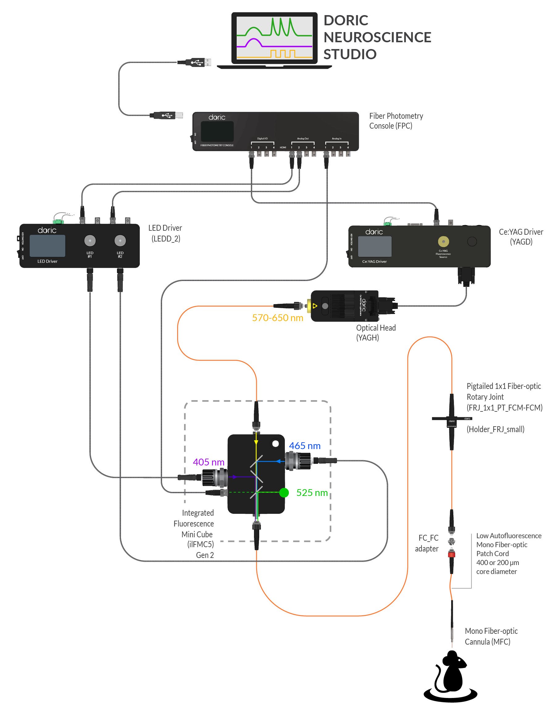 Doric社製 ファイバーフォトメトリーシステム｜1か所計測 GFP ＋ RFP - ｜optogenetics.jp｜ファイバーフォトメトリ ...
