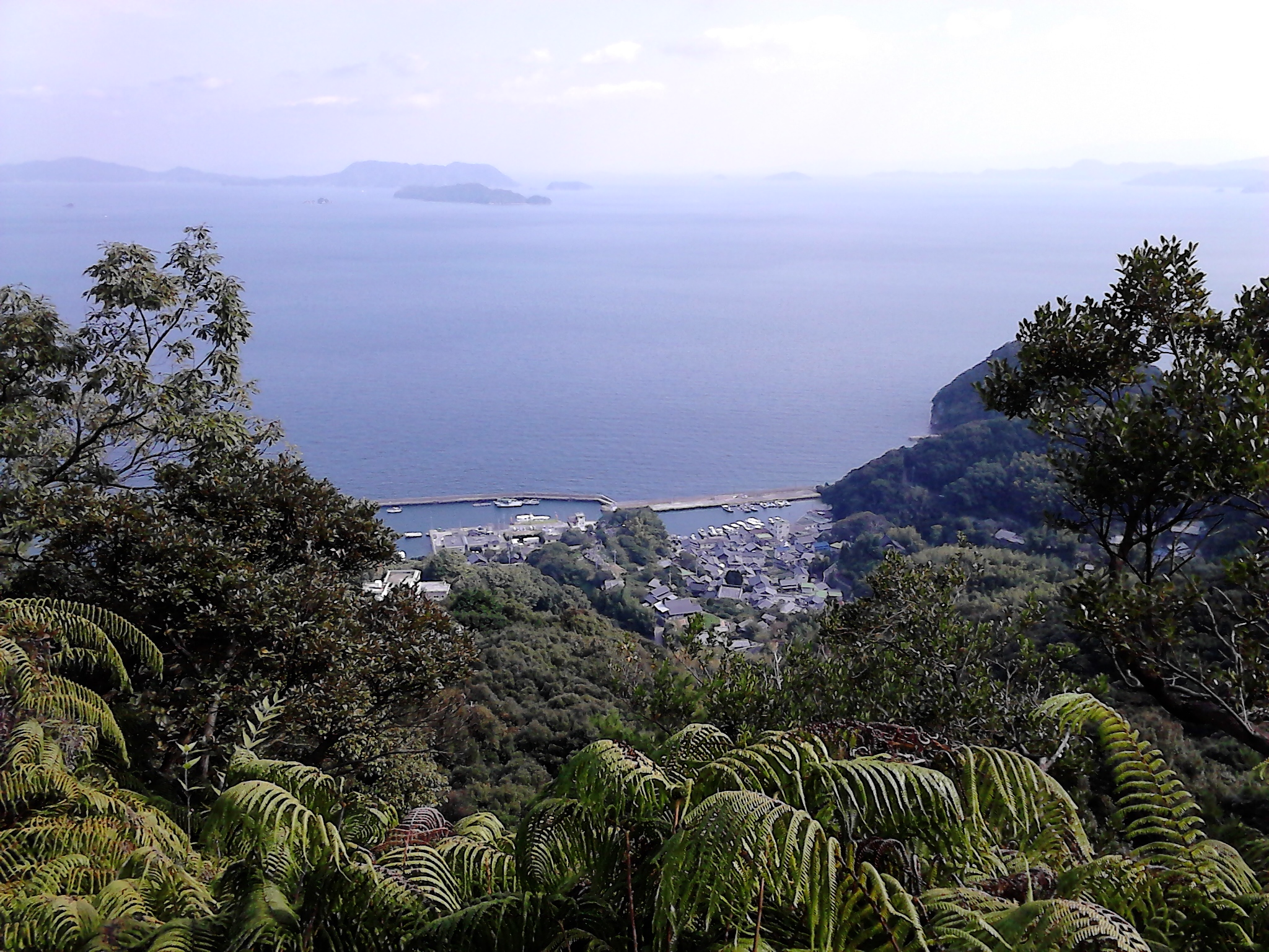 柱島（はしらじま）Hashirajima - 瀬戸内海の離島「柱島群島」