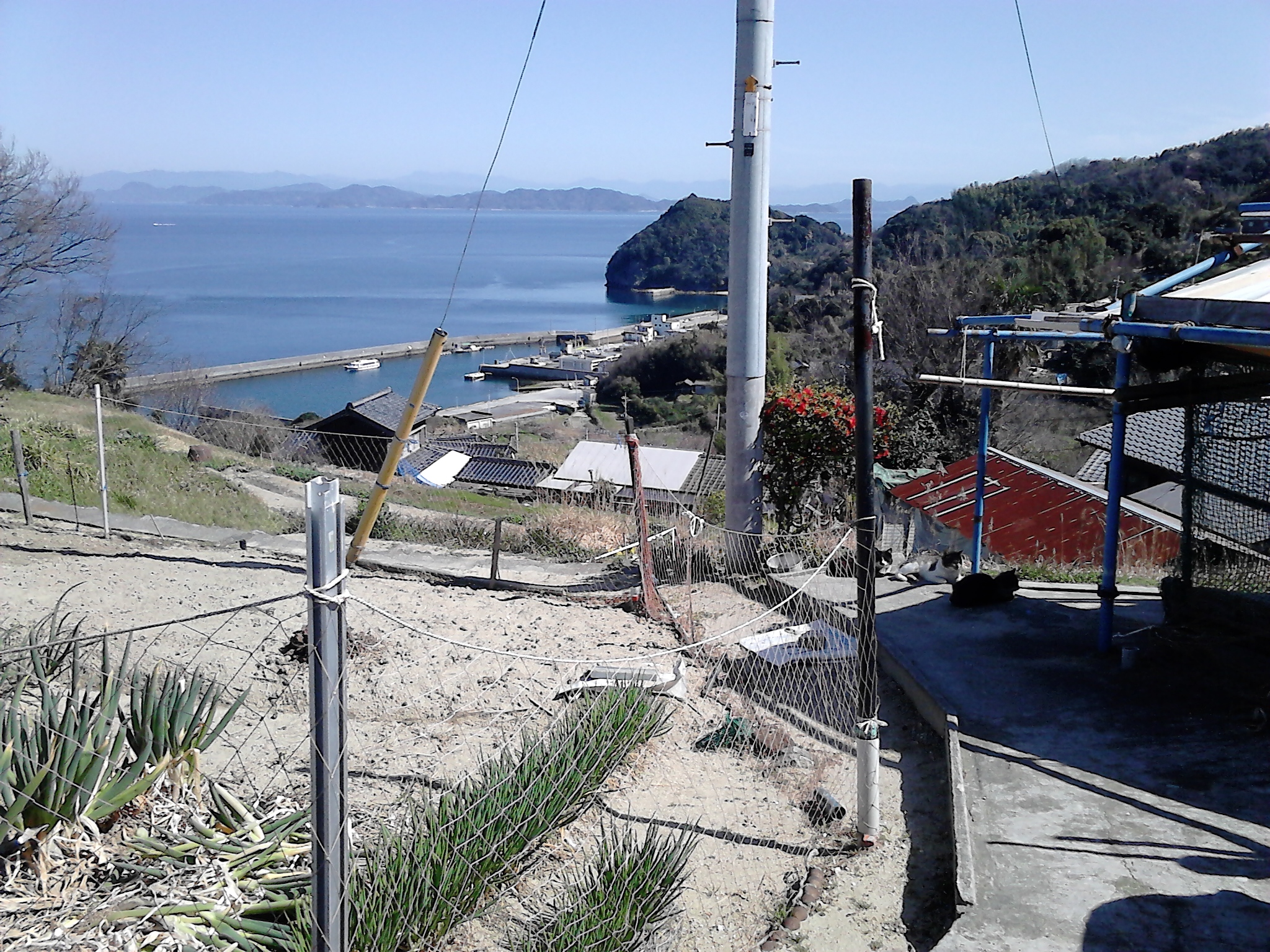 柱島（はしらじま）Hashirajima - 瀬戸内海の離島「柱島群島」