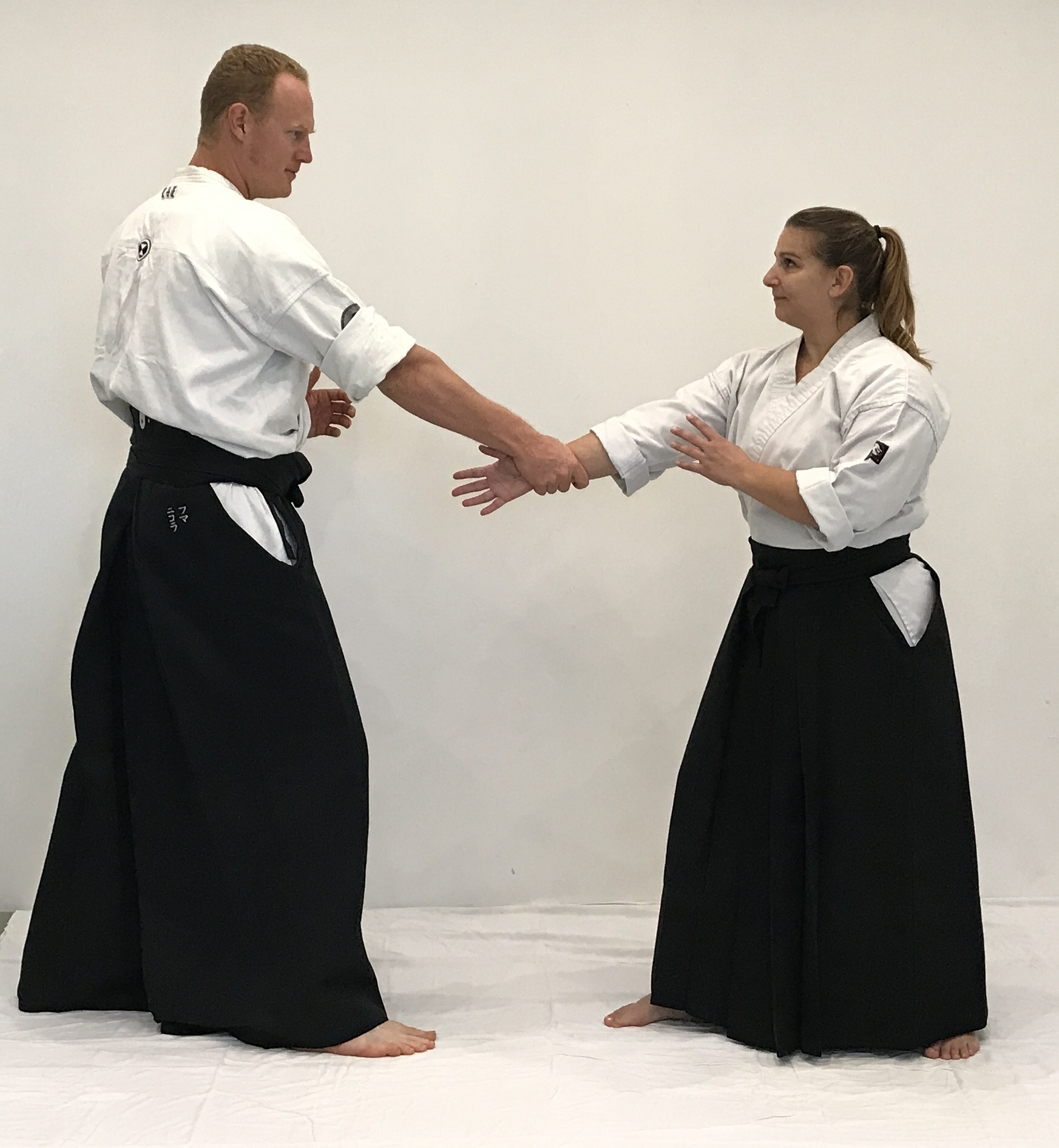 ai hanmi katate dori - Site de nicobushikaido