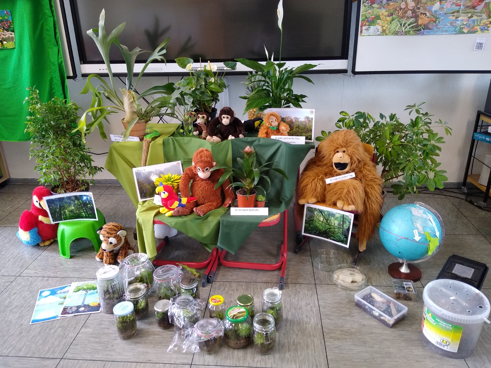 Projektwoche Wald - Homepage der Grundschule Oberlahr
