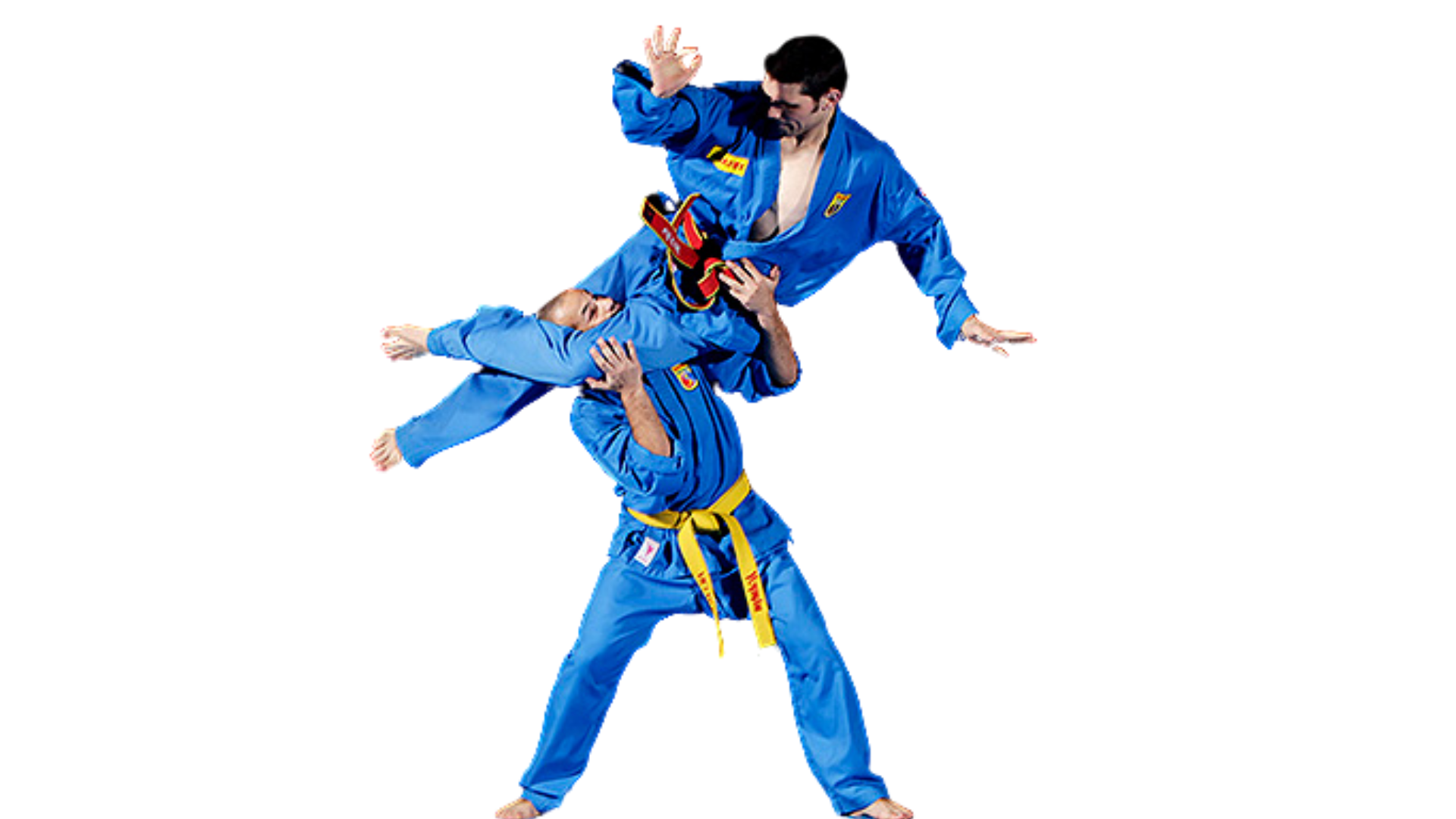 vovinam viet vo dao - Site de dojo-eysines