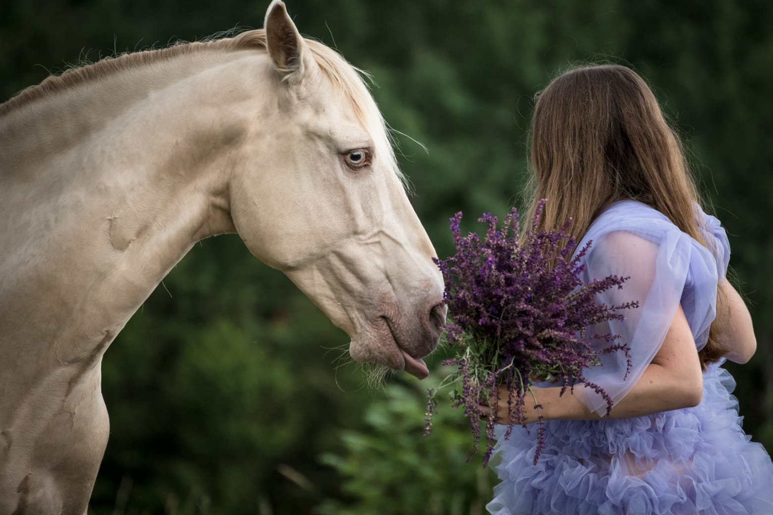 Monika Gross - reelleloesungs Webseite!