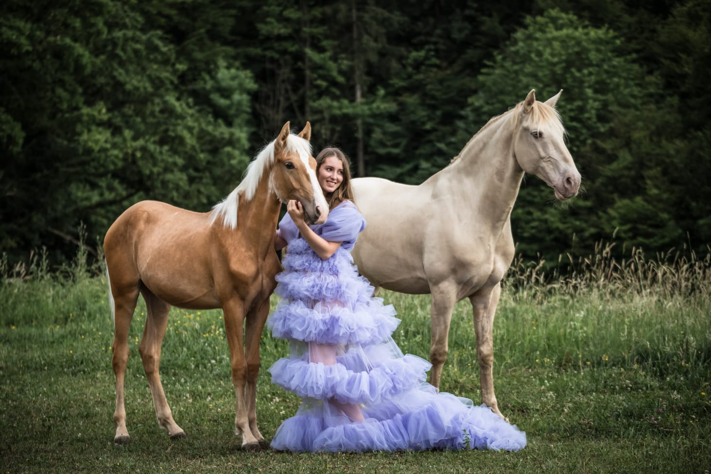 Monika Gross - reelleloesungs Webseite!