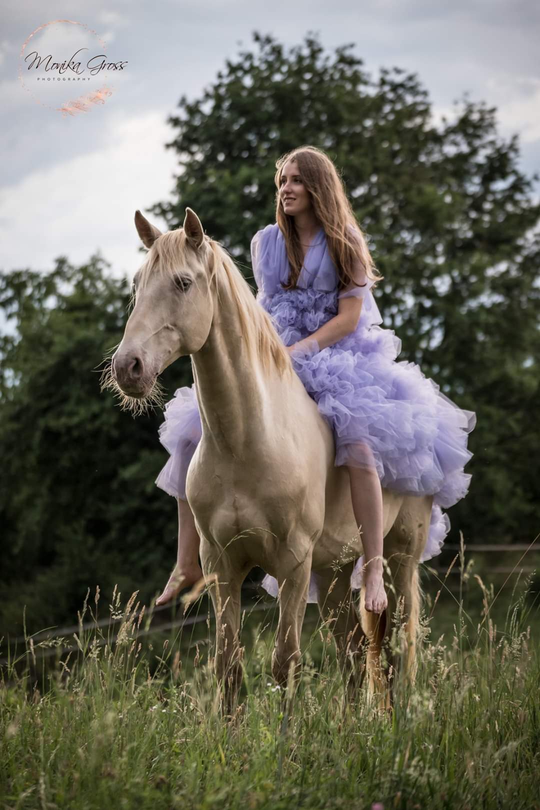 Monika Gross - reelleloesungs Webseite!