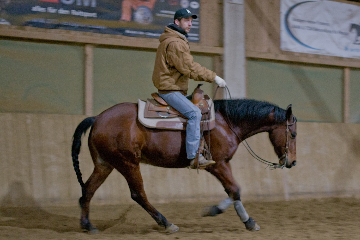 Website Reining Trainer - Reining Trainer Reinhard Hochreiter