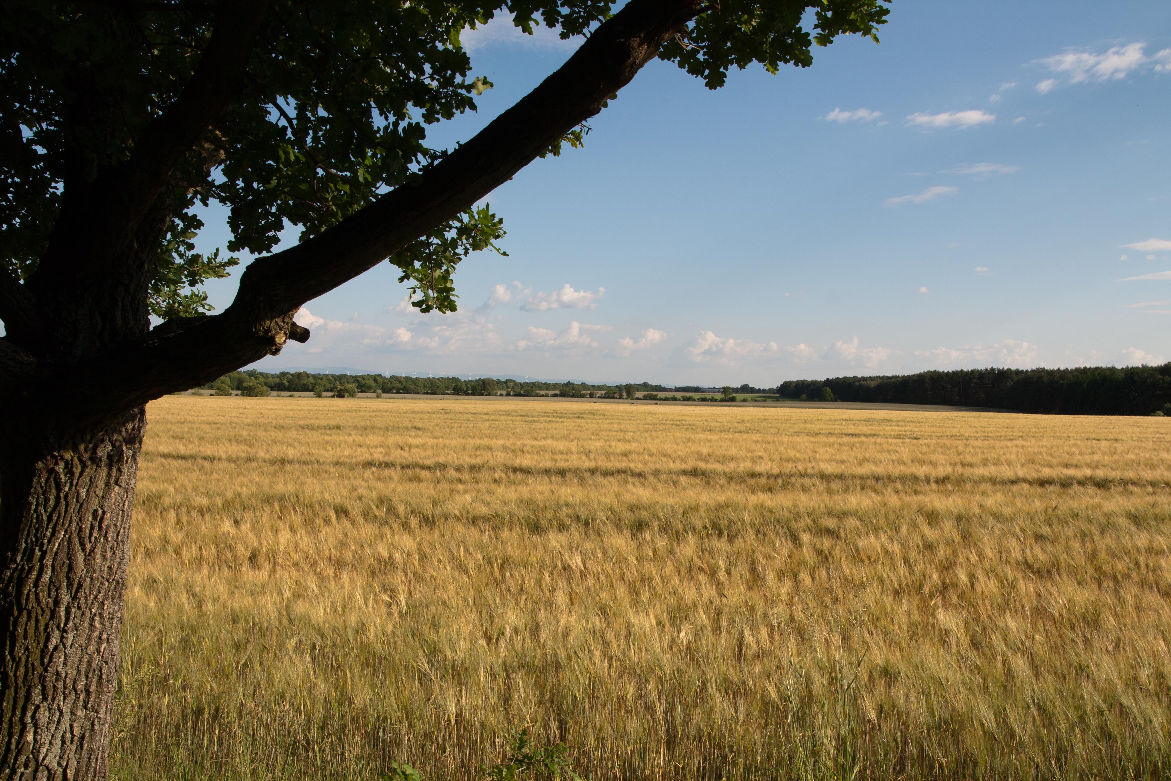Willkommen bei KJiK - Kommunalpolitik mitgestalten! - KJiK