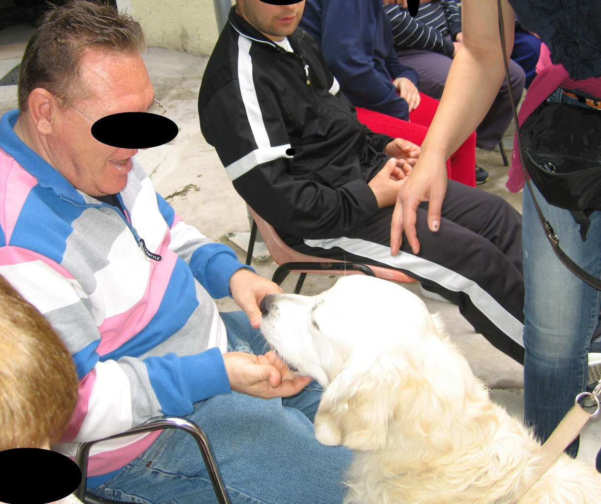 Pet Therapy - Benvenuti su passionales!