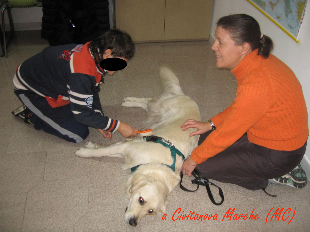 Pet Therapy - Benvenuti su passionales!