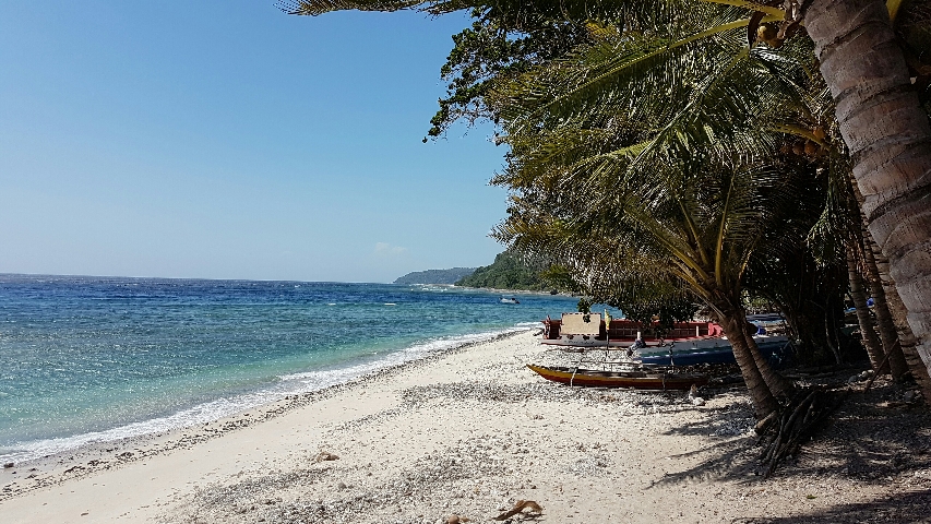 Tara Bandu - michissabbaticals Webseite!