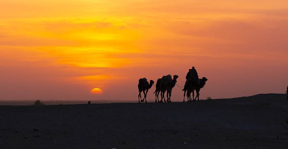 La Isla de Djerba - Agencia de viajes en Túnez