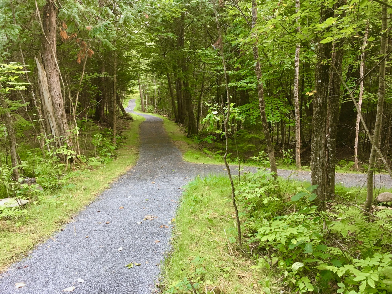 Accessible and Multi-Use - OBP Trailworks LLC