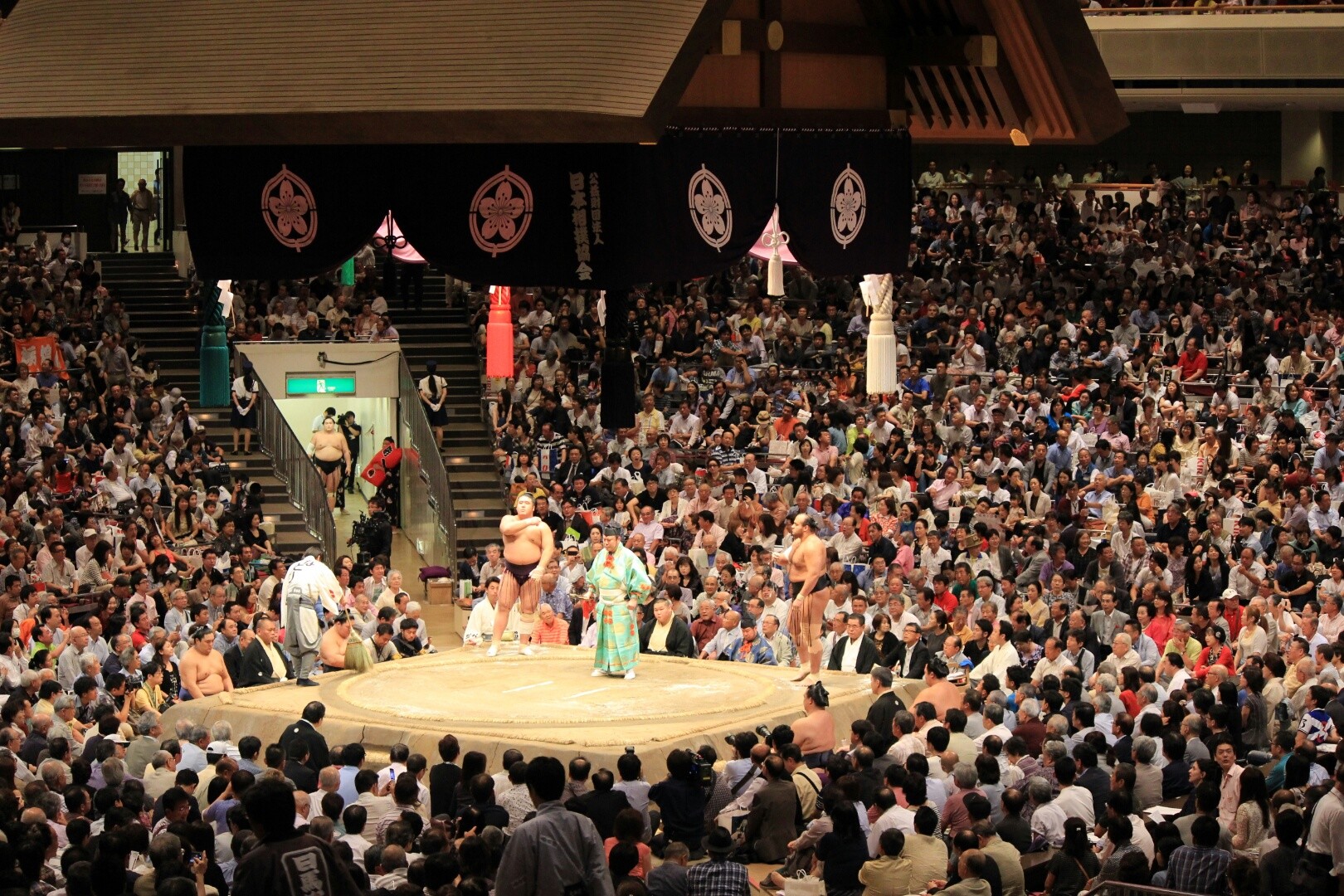 10 Things you need to know about Sumo Wrestling - thetravellerguy