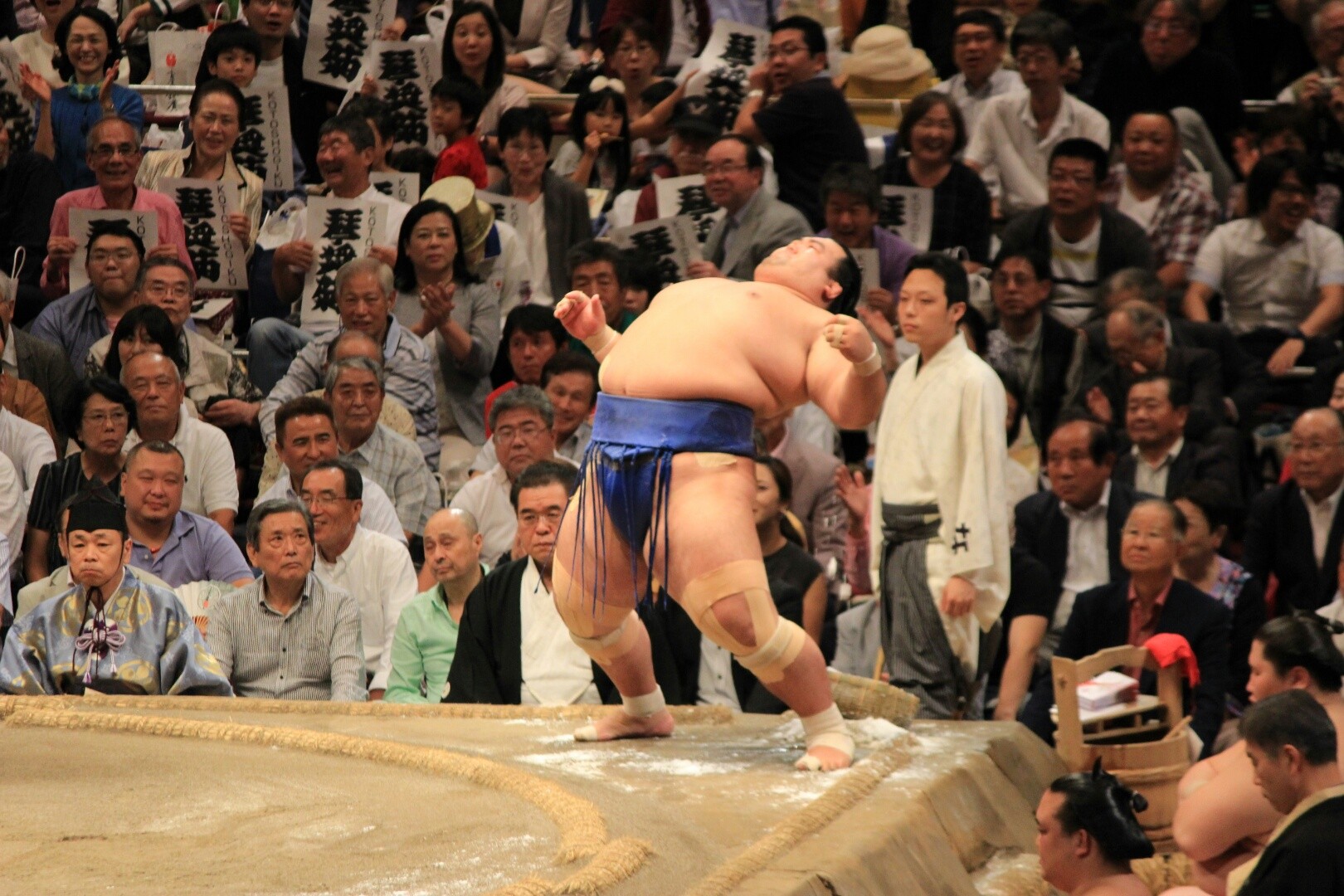 10 Things you need to know about Sumo Wrestling - thetravellerguy