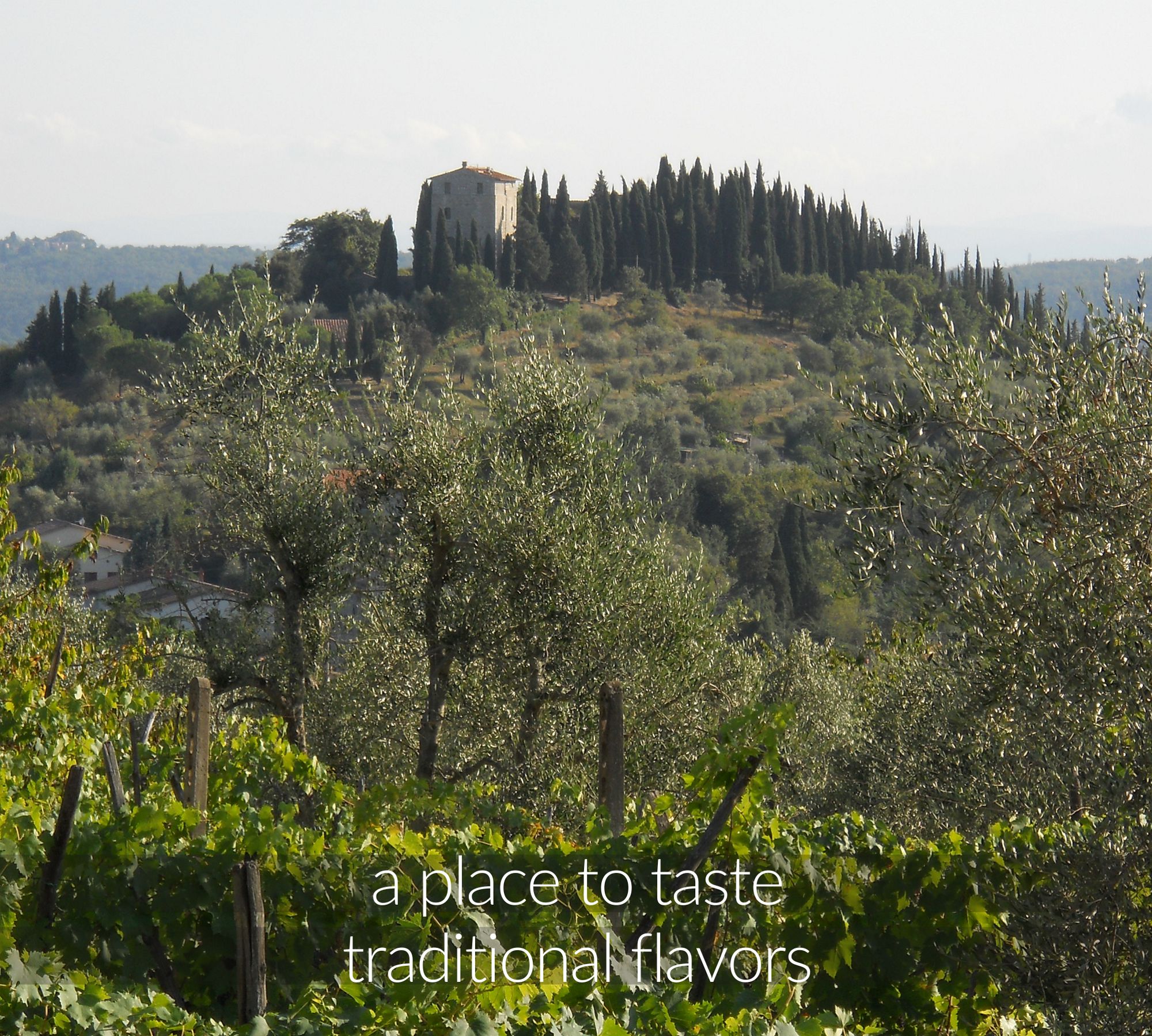 ANCIENT CASTLE IN CHIANTI - CASTELLO DI MONTELUCO A LECCHI - Holiday in ...