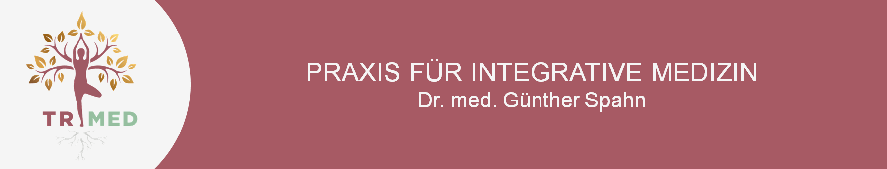 Misteltherapie Anwendungsgebiete bei Krebs - Dr. Spahn