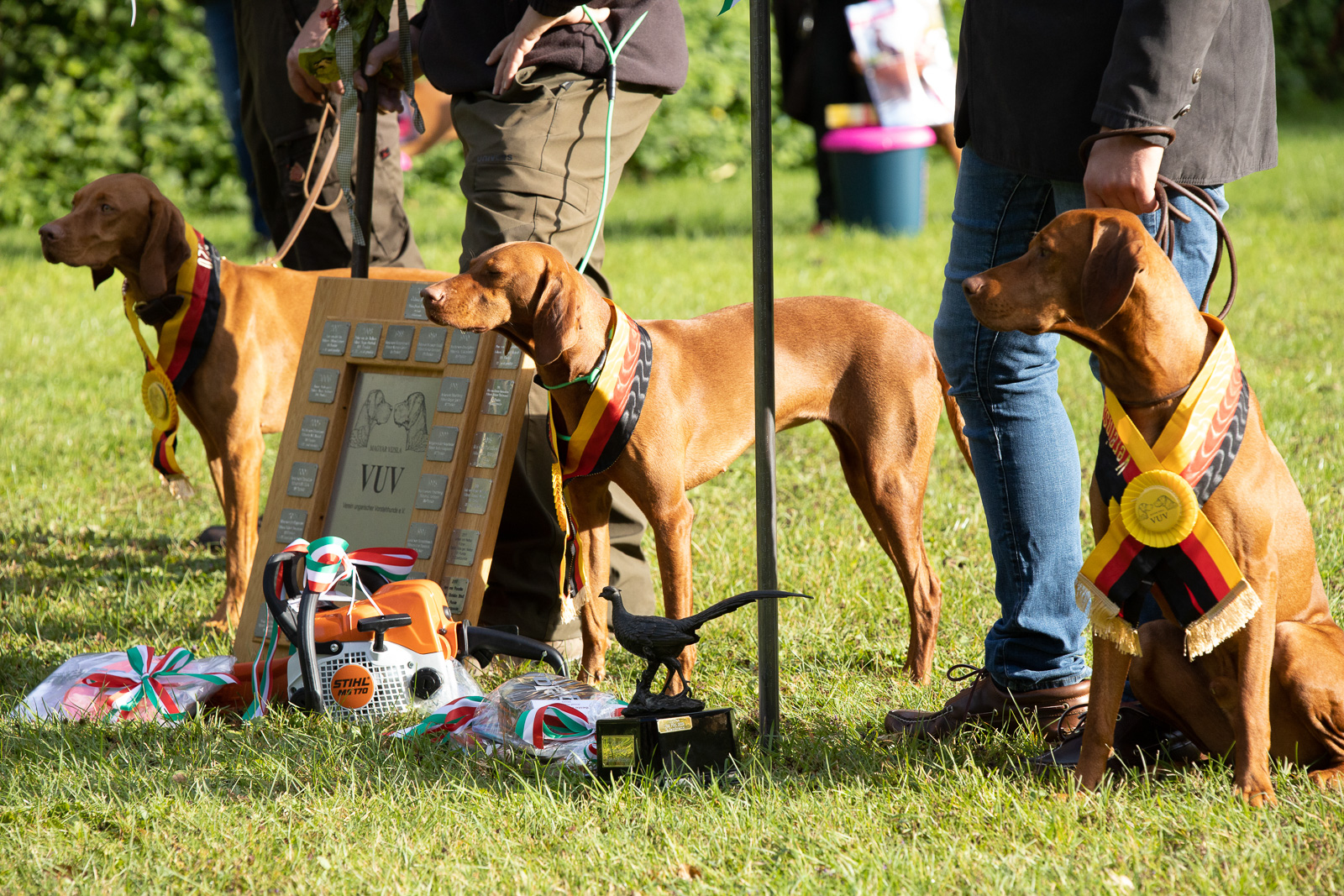 Unsere Jagdhunde - Hunt & Hound