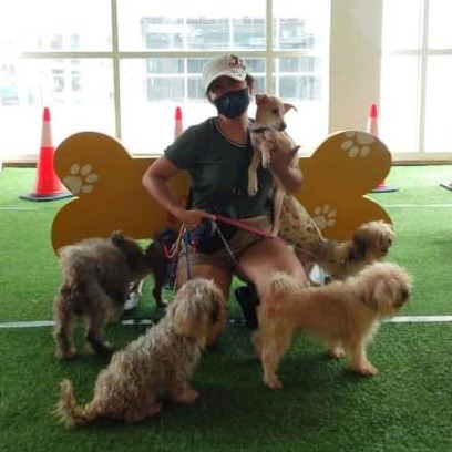 My Furry Pawmily by Teacher Penny - Linguage Inc.