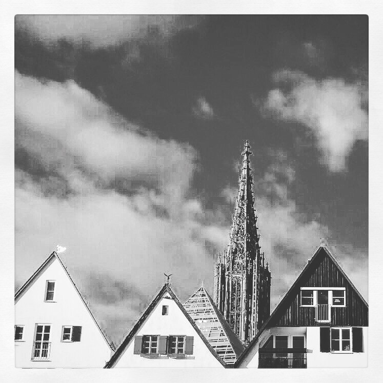 SANDRA - Sandra Bohnakers Website