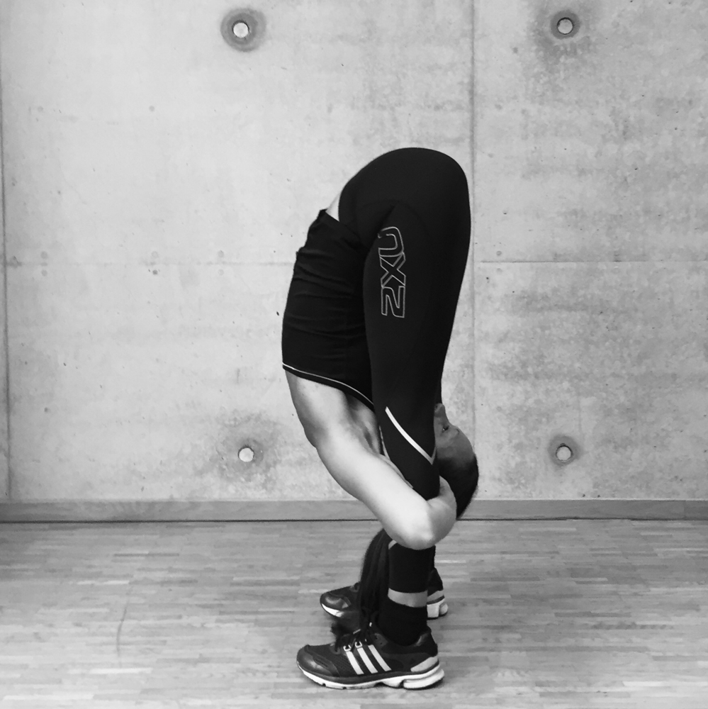 SANDRA - Sandra Bohnakers Website