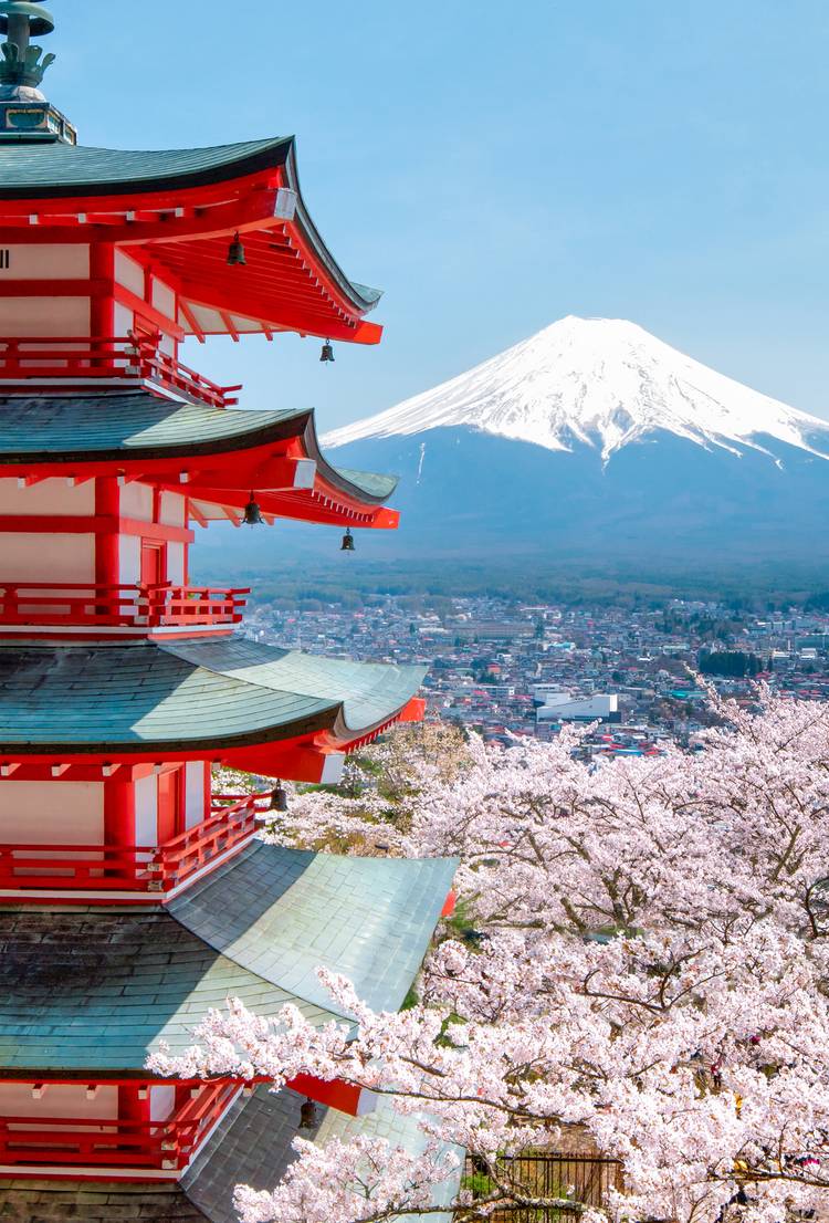 Découvrez la nature - Site de sukitoservice