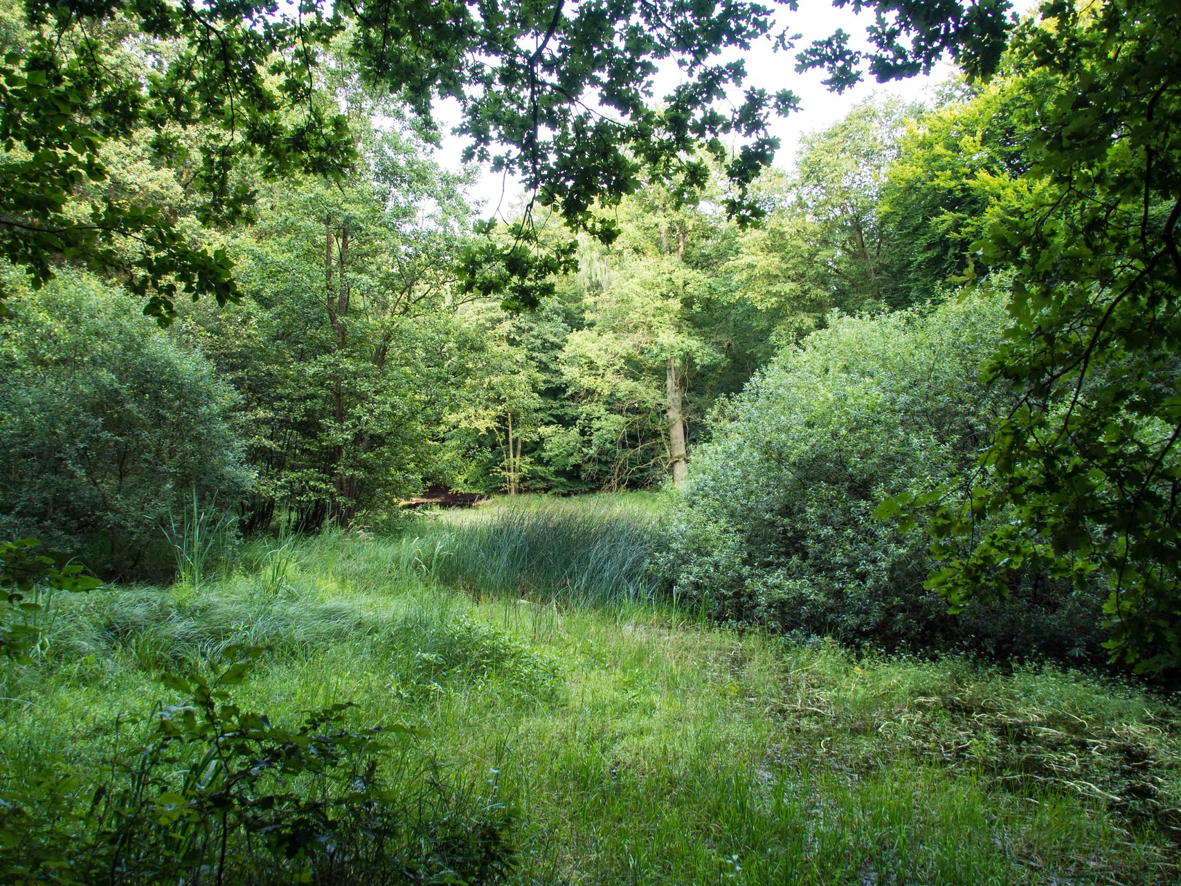 Wanderung Stellmoor Ahrensburger Tunneltal - LUPESI