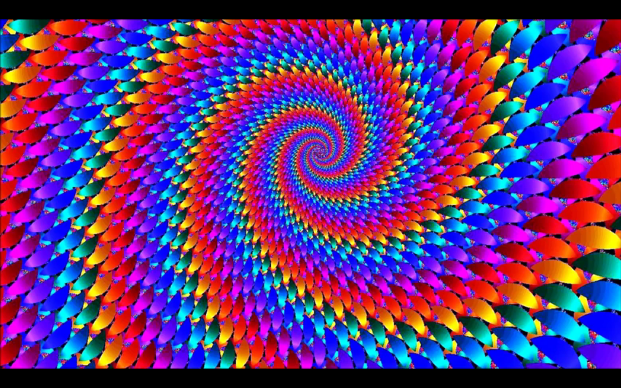 presentaciones - gonh