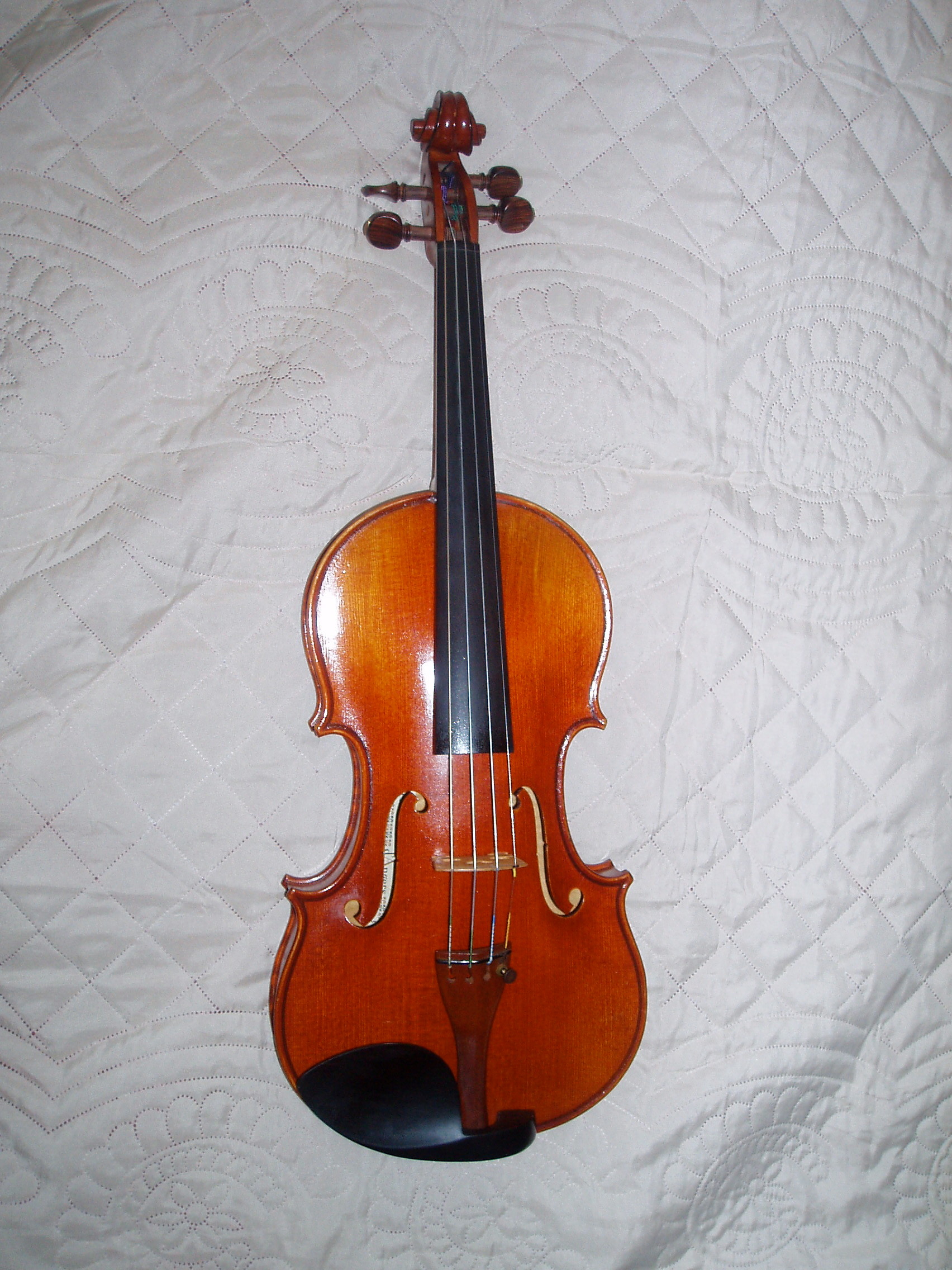 Jouer du violon : un symbolisme puissant - Site de leviolondeve