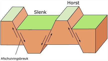 breuk anatomie - Ontdek de Mellebreuk!