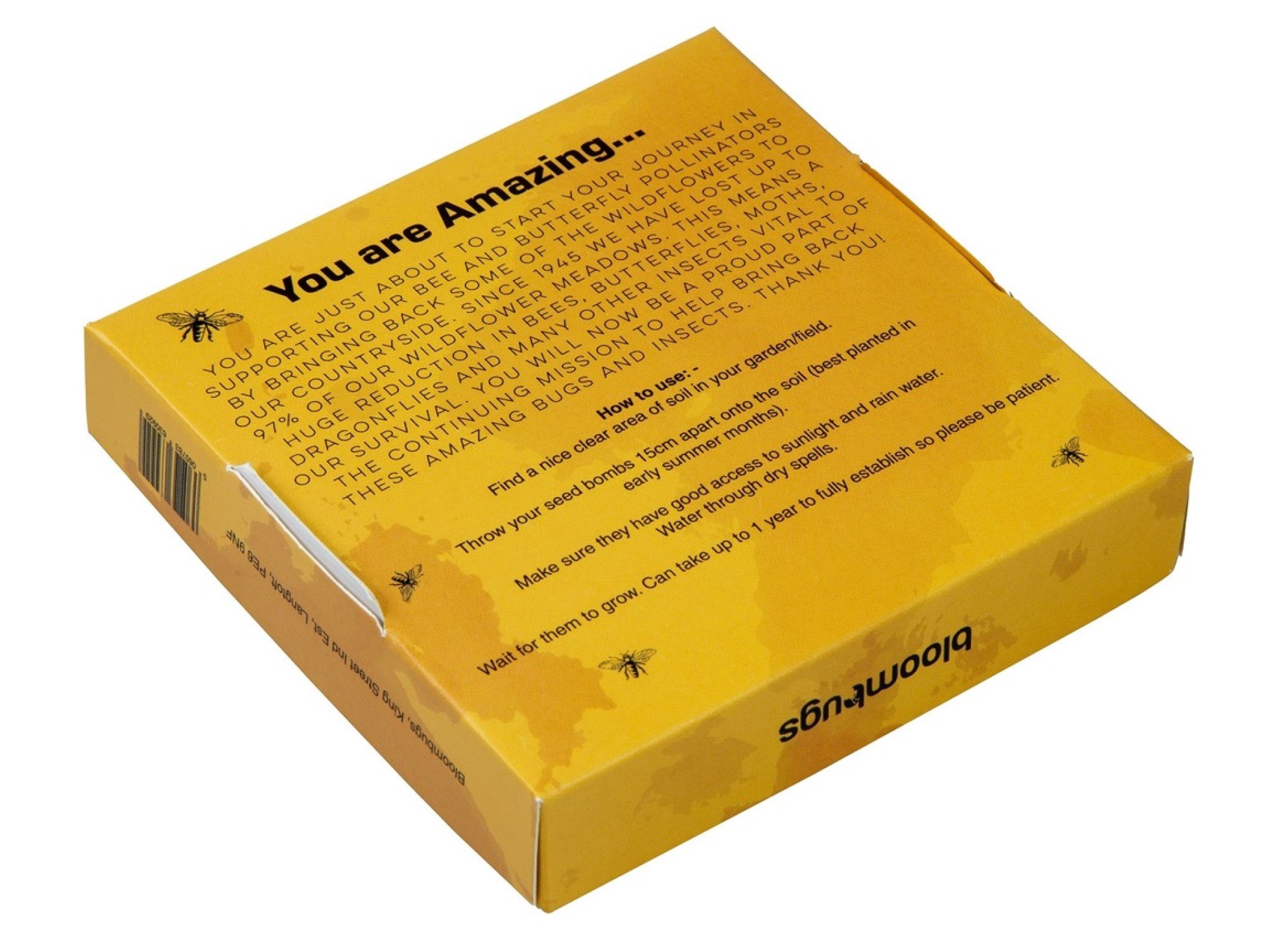 Bloom Bugs Bee & Butterfly Seed Bombs - The Clay Cure Co.